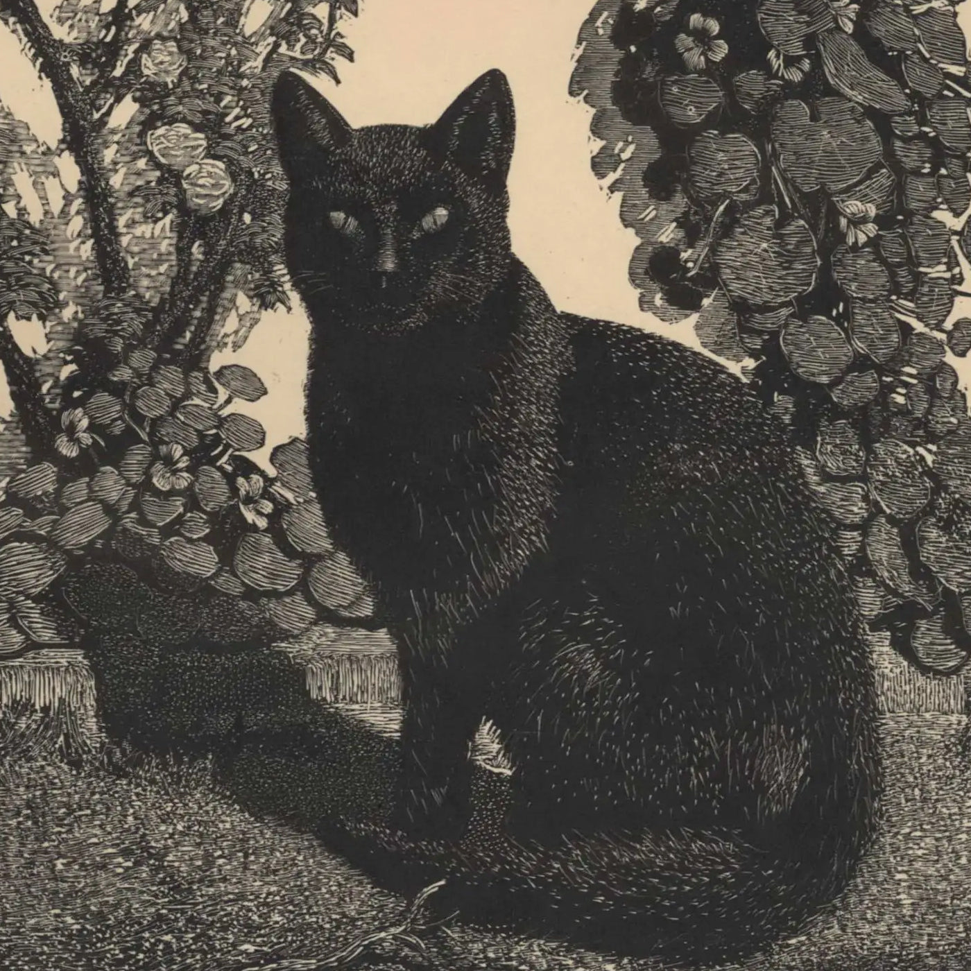 Felines Familiars in Mythology – Shop Dixi