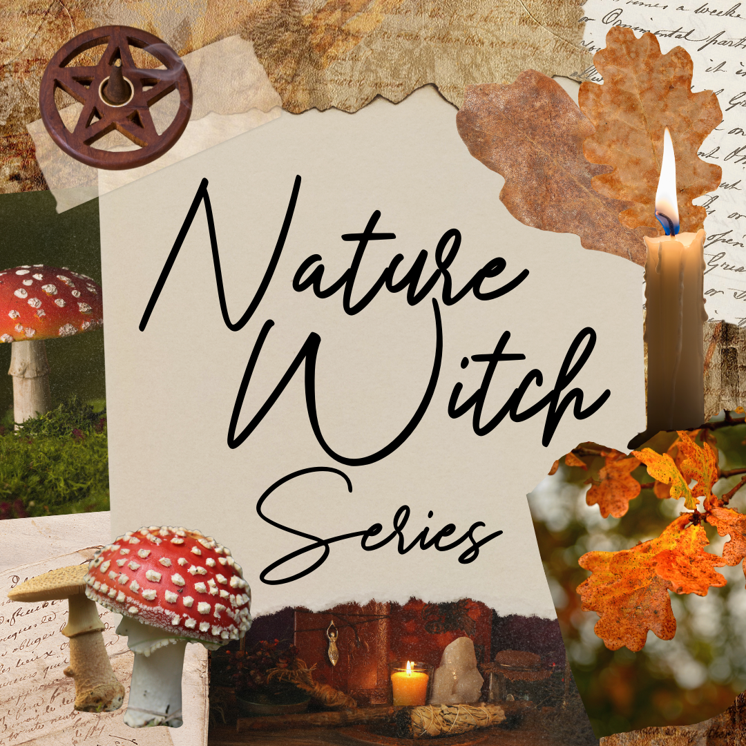 Register Interest - Nature Witch Series – Shop Dixi